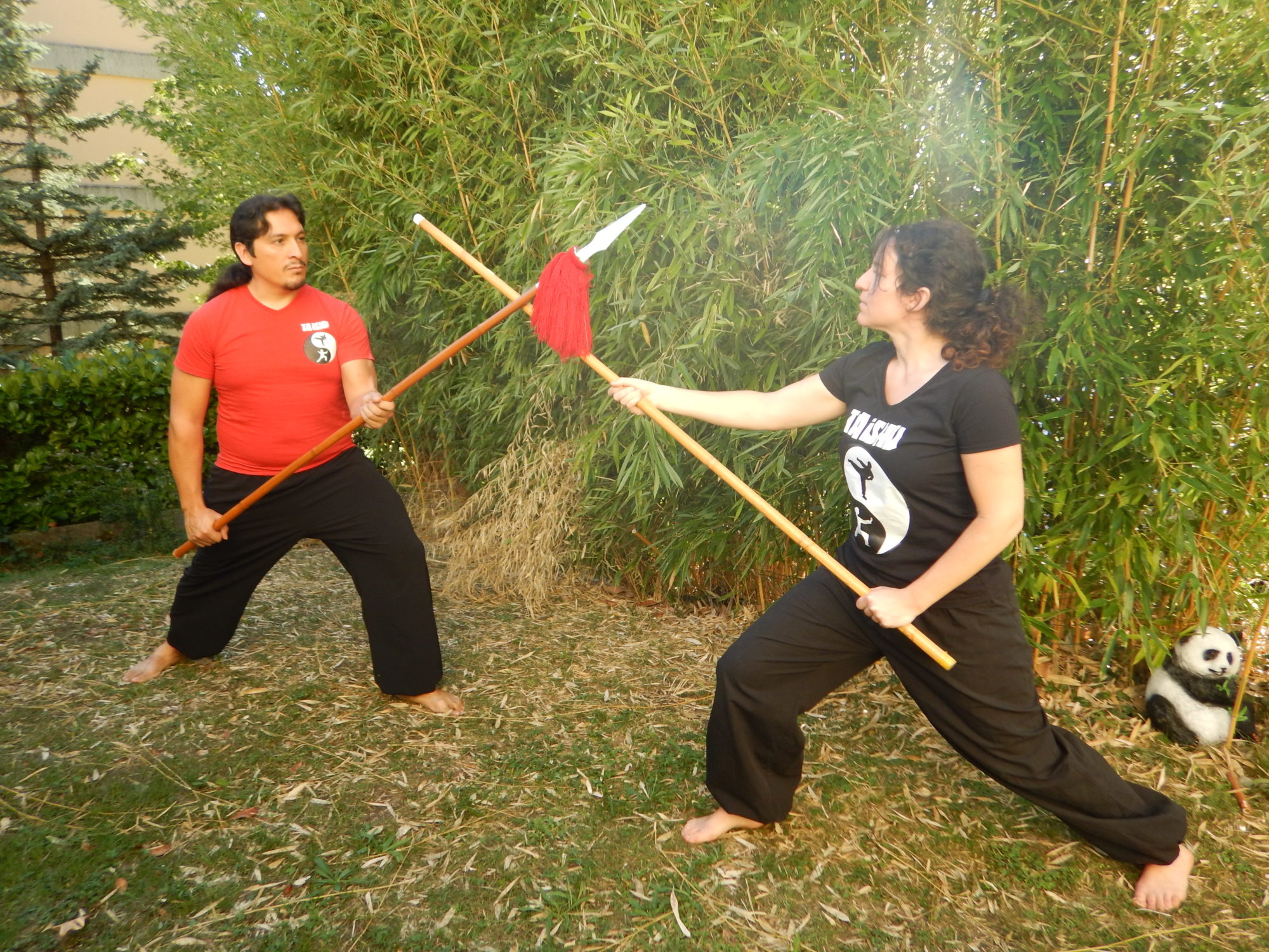 Les 18 armes de Shaolin : le bâton (gun) - Taishu